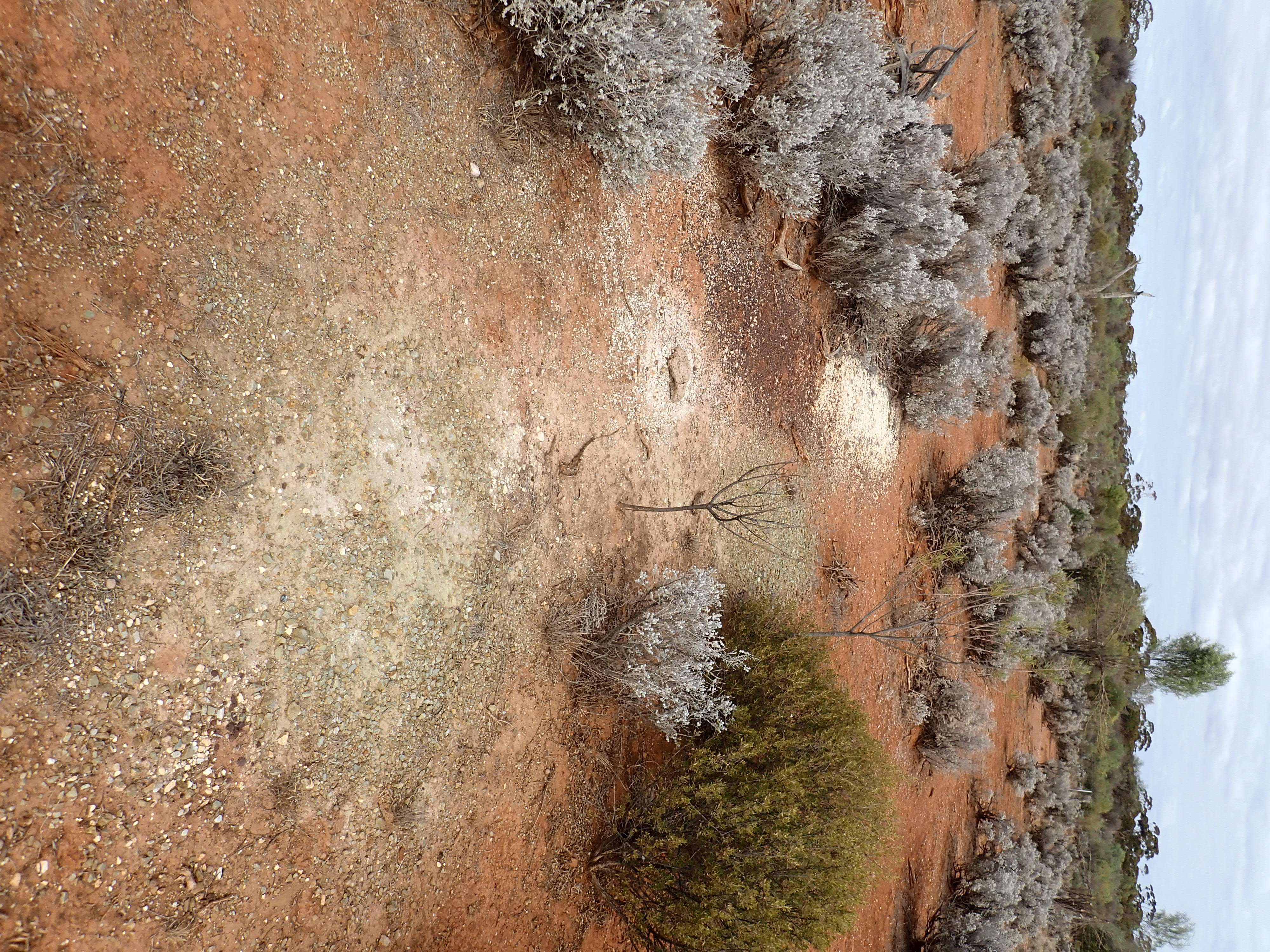 Eastern Goldfields Projects - Miramar Resources Ltd